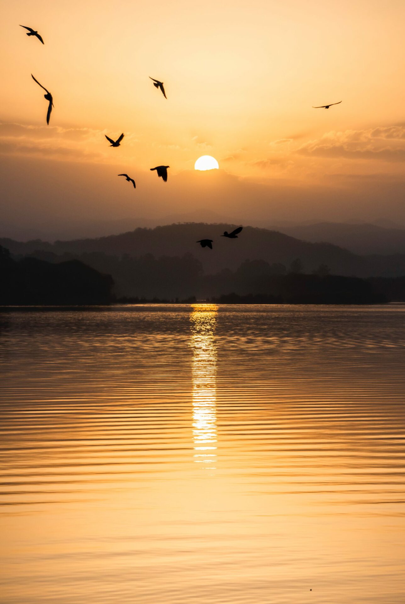 Surah Mulk : The Protection You Need - Forever Muslim